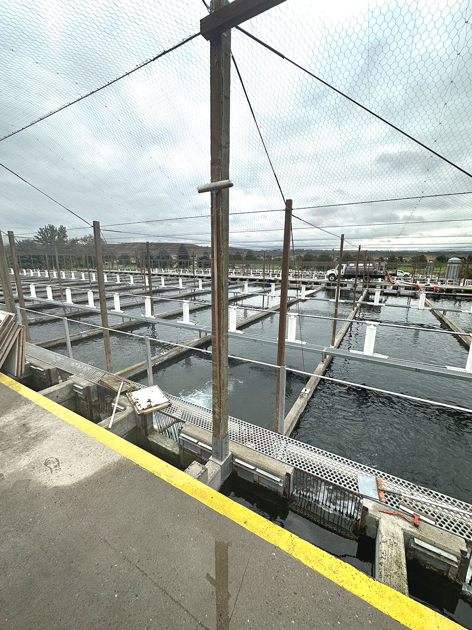 FMI | Photo Friday: Responsible Aquaculture at Riverence